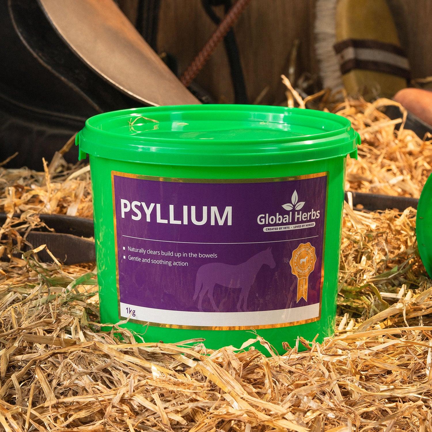 Global Herbs Psyllium 1Kg – Paw Pet