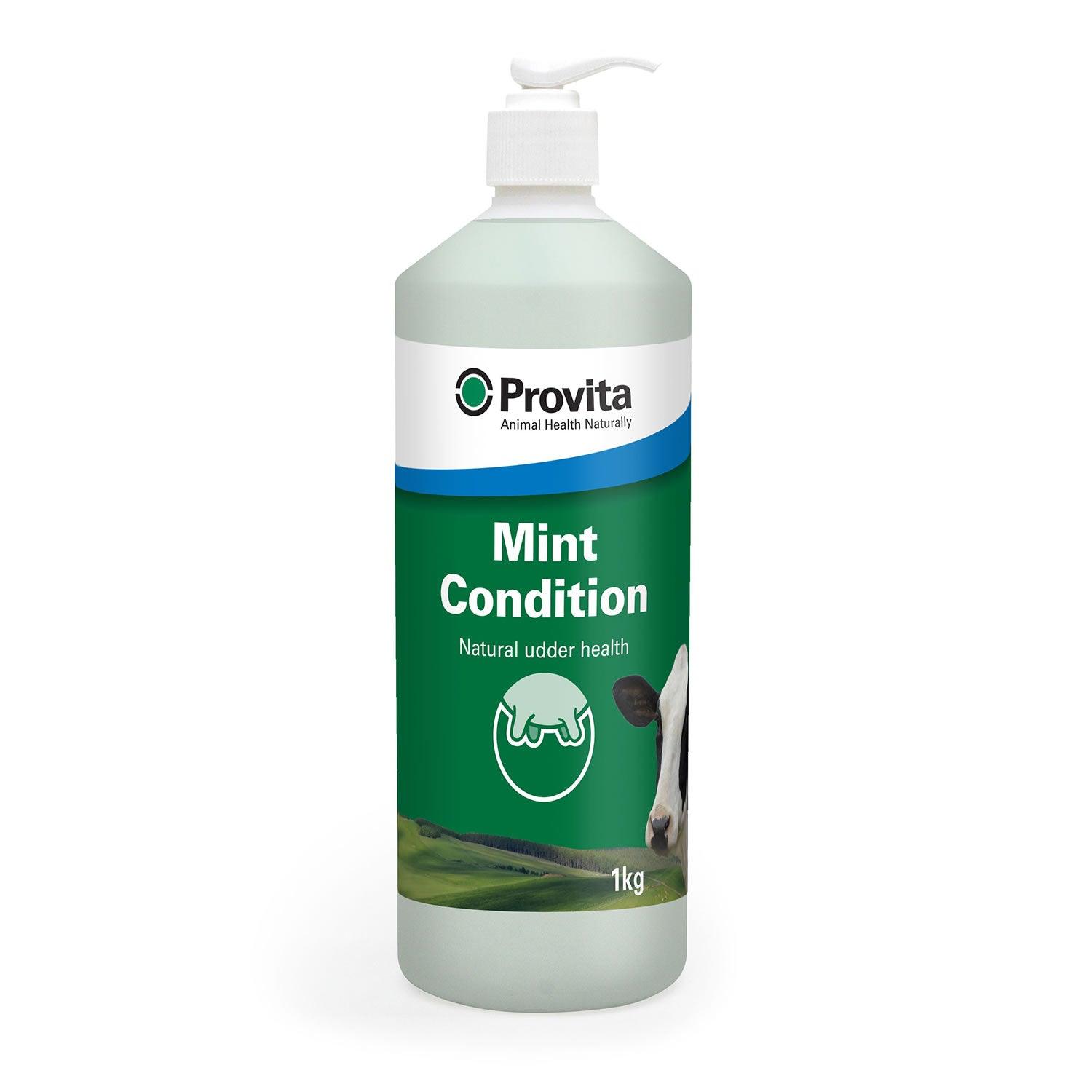 Provita Mint Condition 1kg – Paw Pet